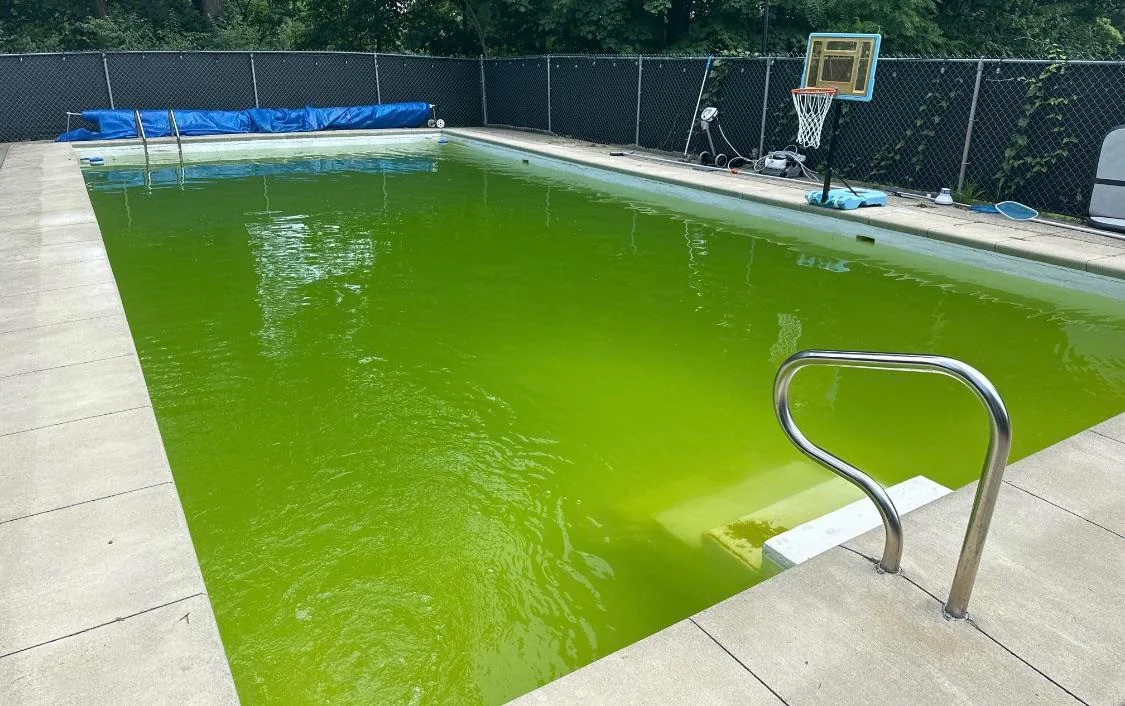 Your Pool from GREEN to BLUE in 48 Hours! – The Aqueous Solution Inc.